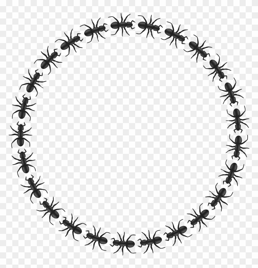 Ant Border Cliparts - Circle Border Design Black And White - Full Size ...