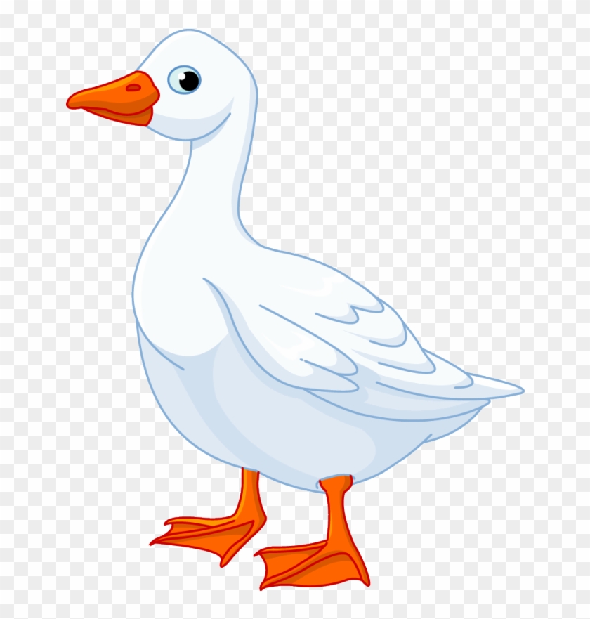 Resultado De Imagen De Dibujos De Oca - Domestic Farm Animals Clipart ... Resultado De Imagen De Dibujos De Oca - Domestic Farm Animals Clipart ...