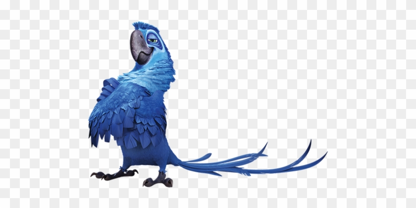 Rio Wallpaper Titled Eduardo - Rio 2 Pop Pop - Full Size PNG Clipart ...