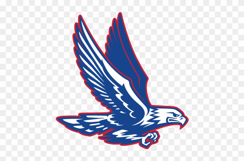 Central Academy Of Excellence Eagles - Central Academy Of Excellence ...