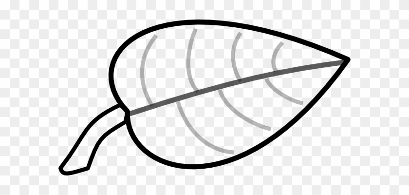 Leaf Outline Clipart Free Images - Leaf Coloring Pages - Full Size PNG ...