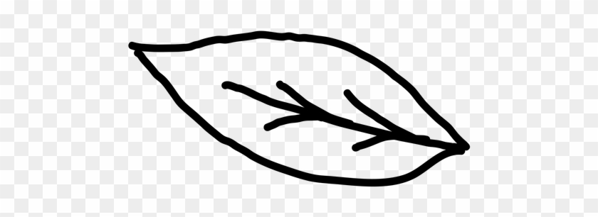 Leaf Outline Transparent Clipart - Leaf Outline Png - Full Size PNG ...