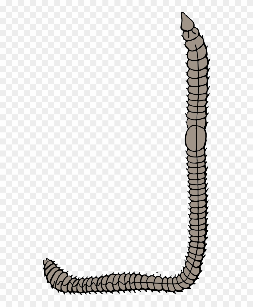 Earth Worm - Worm Clip Art - Full Size PNG Clipart Images Download