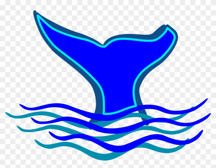 Shark Fin Fish Fin Clip Art Clipartfest In Clipart - Fin Clipart - Full ...