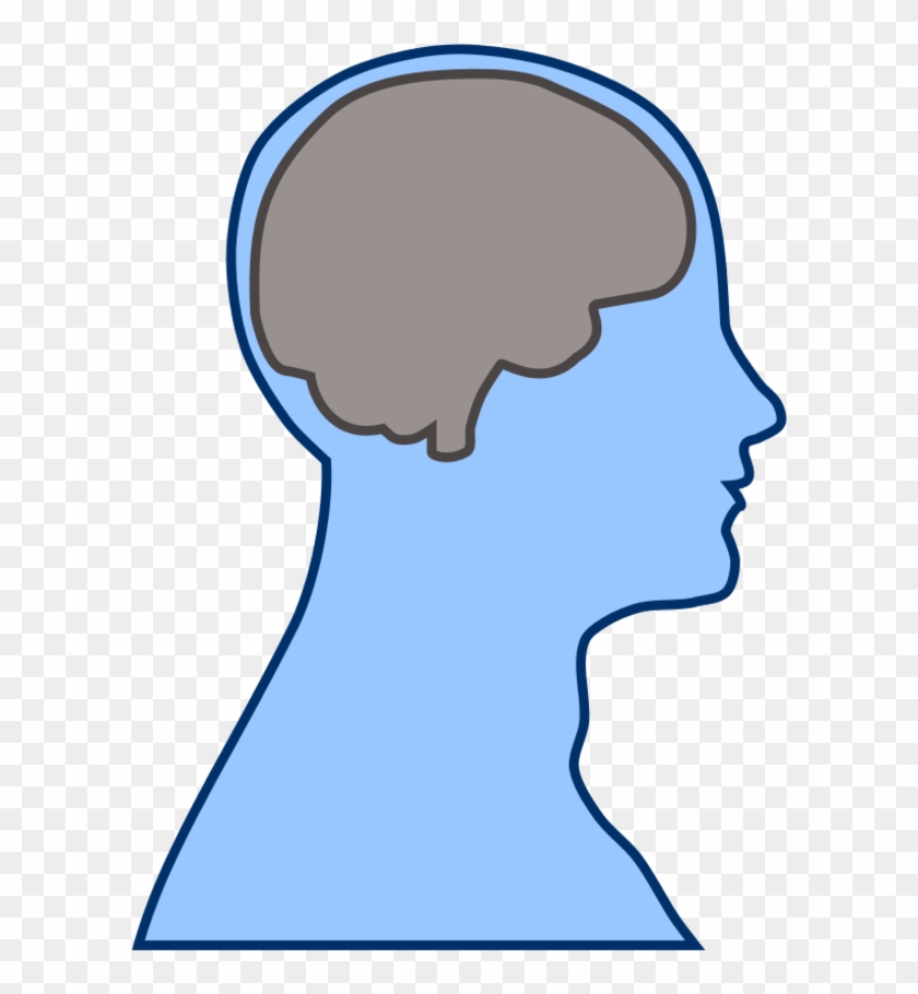 Brain Human Man - Blue Brain Clip Art - Full Size PNG Clipart Images ...