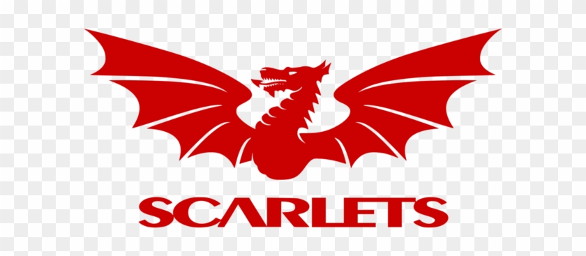 Away - Scarlets Vs La Rochelle - Full Size PNG Clipart Images Download