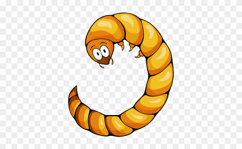 100 Mealworms Large Order - Mealworm Clipart Transparent - Full Size ...