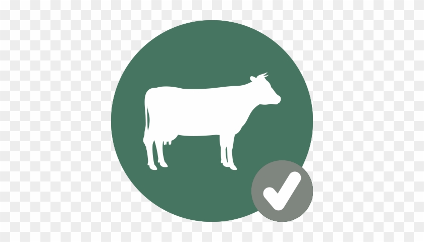 Cattle - Free Transparent PNG Clipart Images Download