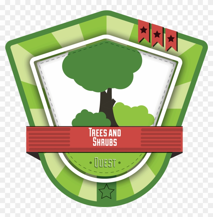 Trees & Shrubs - Label - Free Transparent PNG Clipart Images Download