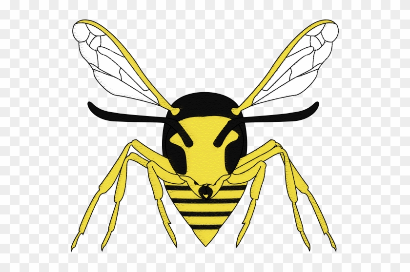 1954 Wasps Logo By Verasthebrujah - Hornet - Full Size PNG Clipart ...