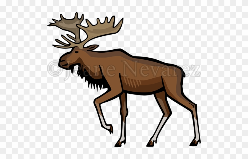 Bull Moose - Cartoon - Free Transparent PNG Clipart Images Download