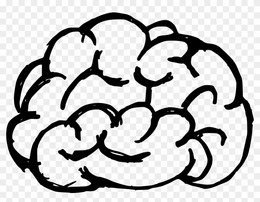 Free Download - Brain Png - Full Size PNG Clipart Images Download