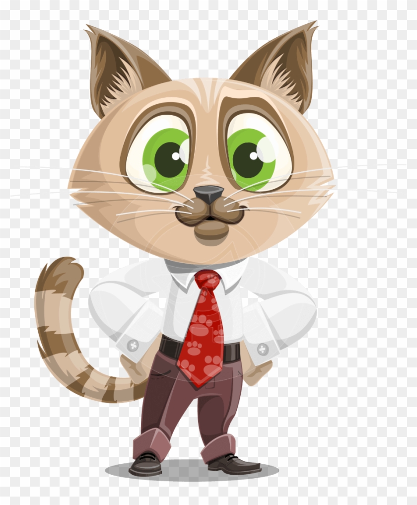 Tom Catson - Cartoon - Free Transparent PNG Clipart Images Download