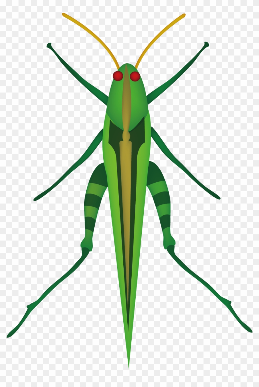 Grasshopper Mosquito Insect Locust Clip Art - Grasshopper Drawing From ...