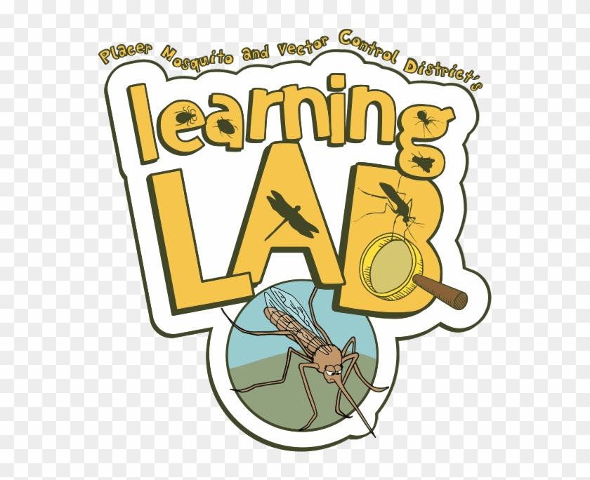 Vector Control - Free Transparent PNG Clipart Images Download