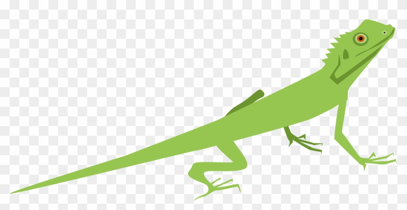Lizard - Clip Art Lizard - Full Size PNG Clipart Images Download