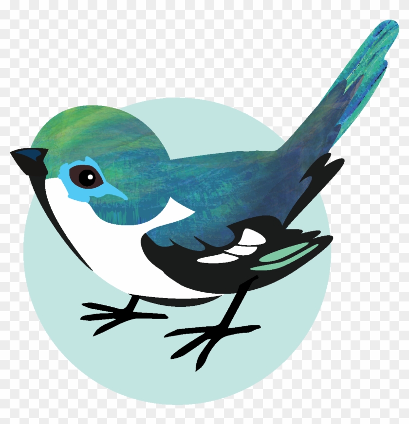 Songbird Clipart Transparent - Songbird Transparent - Full Size PNG ...