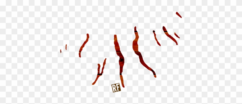 Finger Lakes Clipart 2 By Shannon - Illustration - Full Size PNG ...