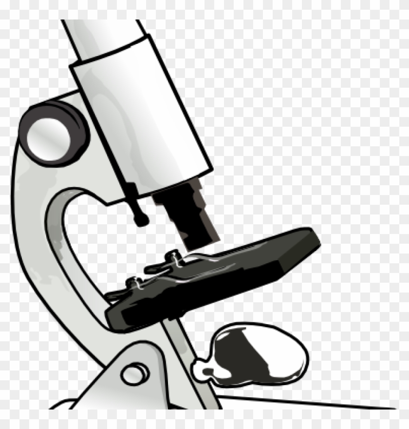 Microscope Clipart Microscope Clip Art At Clker Vector - Science Tools ...