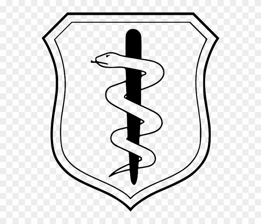 States, Symbol, Doctor, Shield, Health, Badge - Air Force Medical Corps ...