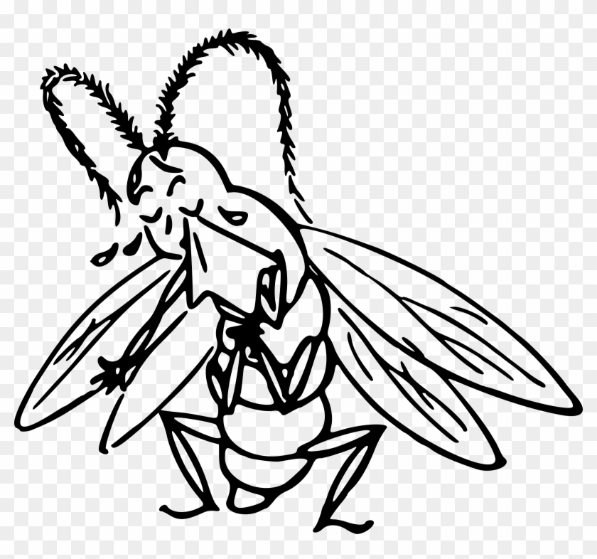 Crying Insect - Clip Art - Free Transparent PNG Clipart Images Download