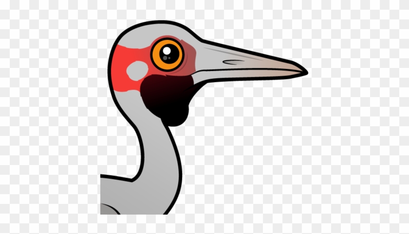 Also Known As - Brolga - Full Size PNG Clipart Images Download