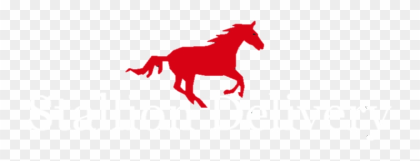 Stallion - Free Transparent PNG Clipart Images Download