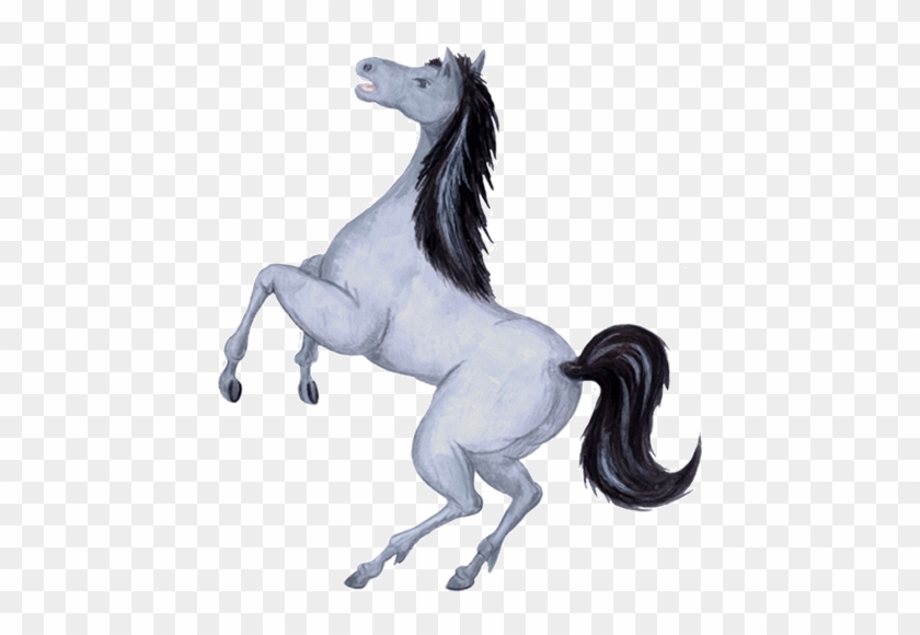 Cheval - Clip Art - Free Transparent PNG Clipart Images Download