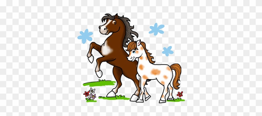 Pferd Fohlen - Pferd Fohlen - Free Transparent PNG Clipart Images Download