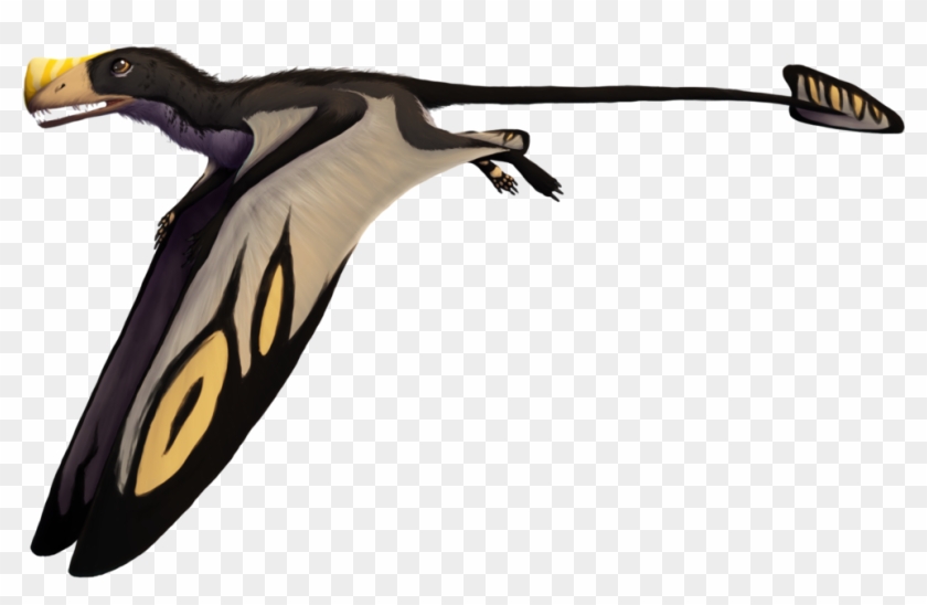 Austriadactylus By Rae-elic - Austriadactylus - Free Transparent PNG ...