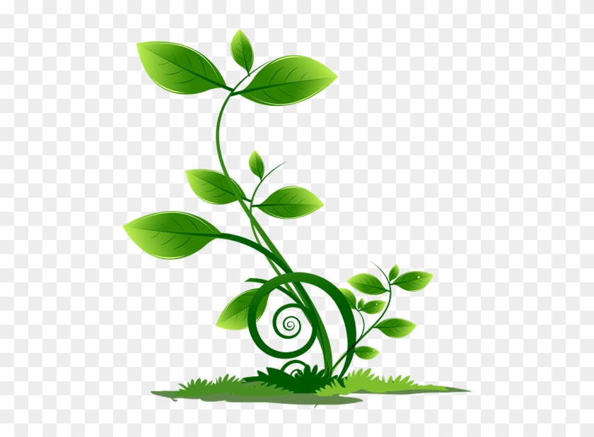 Noun - Noun - Free Transparent PNG Clipart Images Download