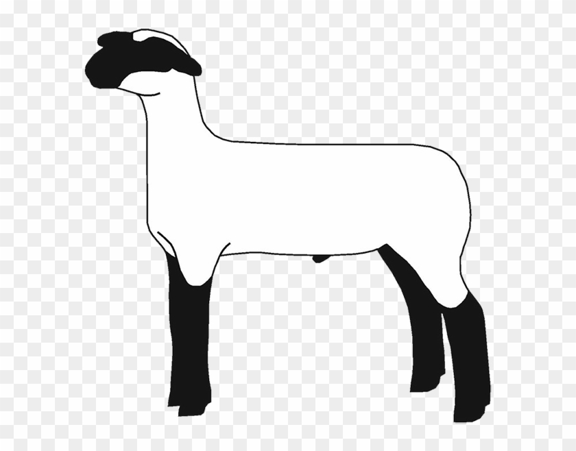 Lamb Clipart Club Lamb - Wasco Ffa - Full Size PNG Clipart Images Download