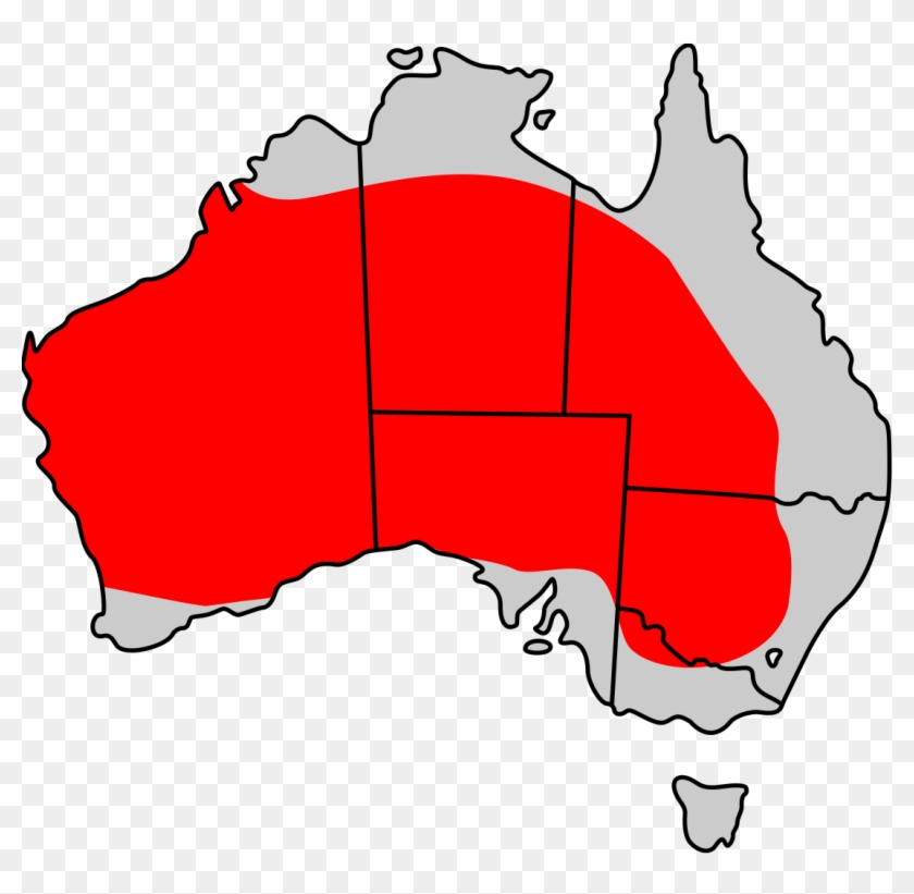 Where Red Kangaroos Live - Distribution Of Red Kangaroo - Full Size PNG ...