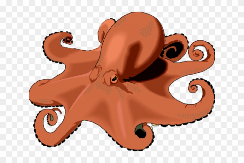 Free Octopus Clipart - Real Octopus Clipart - Full Size PNG Clipart ...