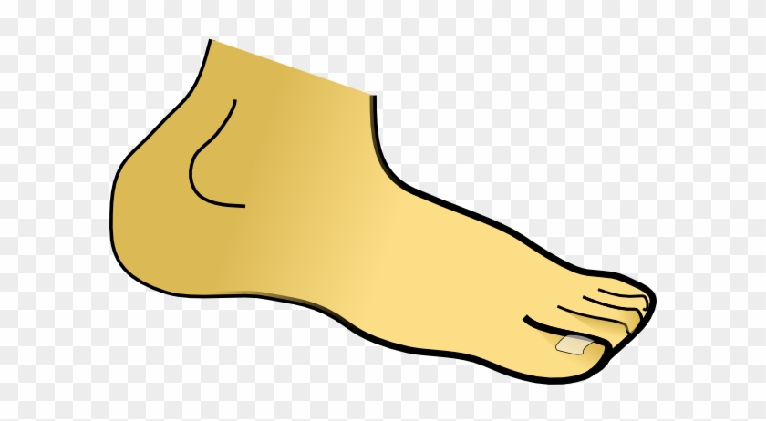 Foot Pictures Clip Art - Clip Art - Free Transparent PNG Clipart Images ...