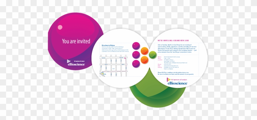 Ebio Invite - Circle - Free Transparent PNG Clipart Images Download