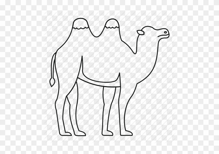Drawn Camels Transparent - Camel Outline - Full Size PNG Clipart Images ...
