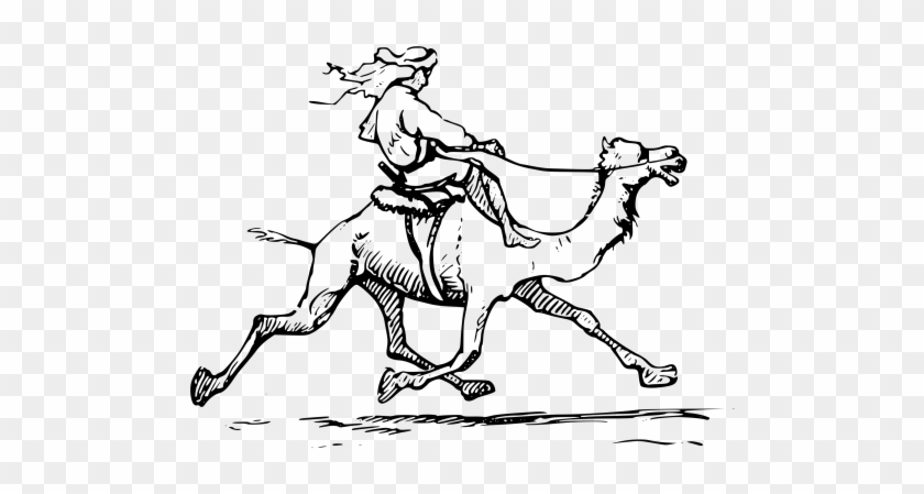 Save - Man Riding Camel Gif - Full Size PNG Clipart Images Download
