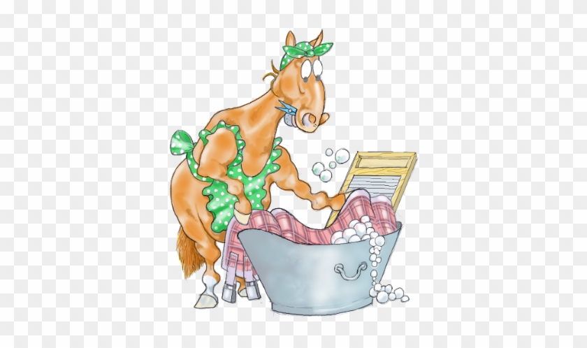 Kate Scurfield Horse Image - Kate Scurfield - Free Transparent PNG ...