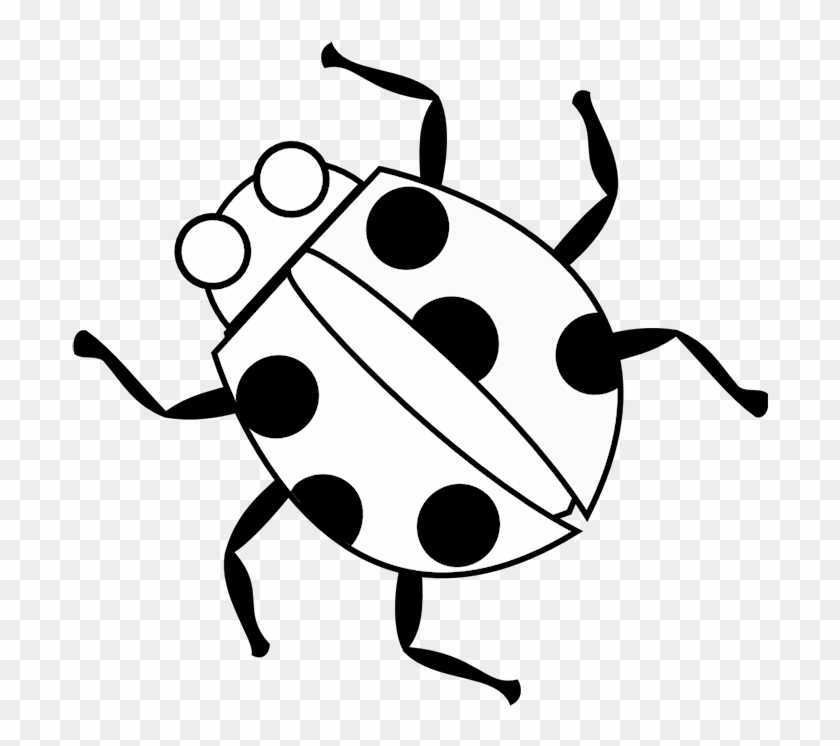 Ladybug Coloring Pages Printable - Coloring Book - Full Size PNG ...