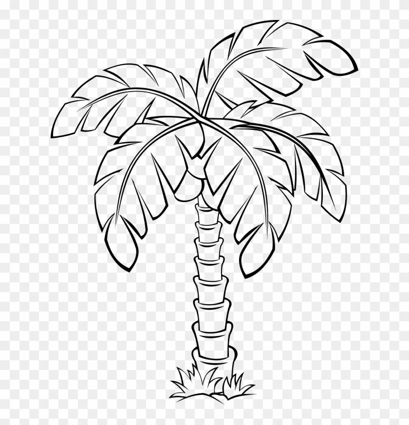 Medium Image Palm Tree Outline Clip Art Free Transparent PNG
