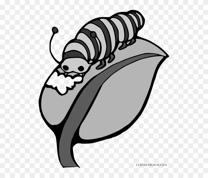 Caterpillar Animal Free Black White Clipart Images - Catterpillar ...