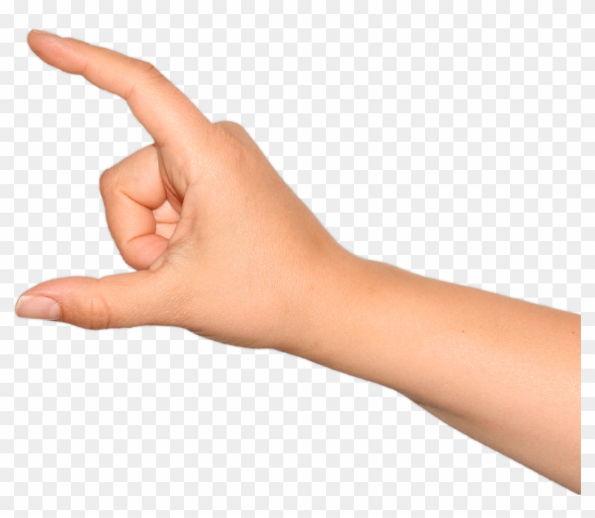 Hand Holding Png - Full Size PNG Clipart Images Download
