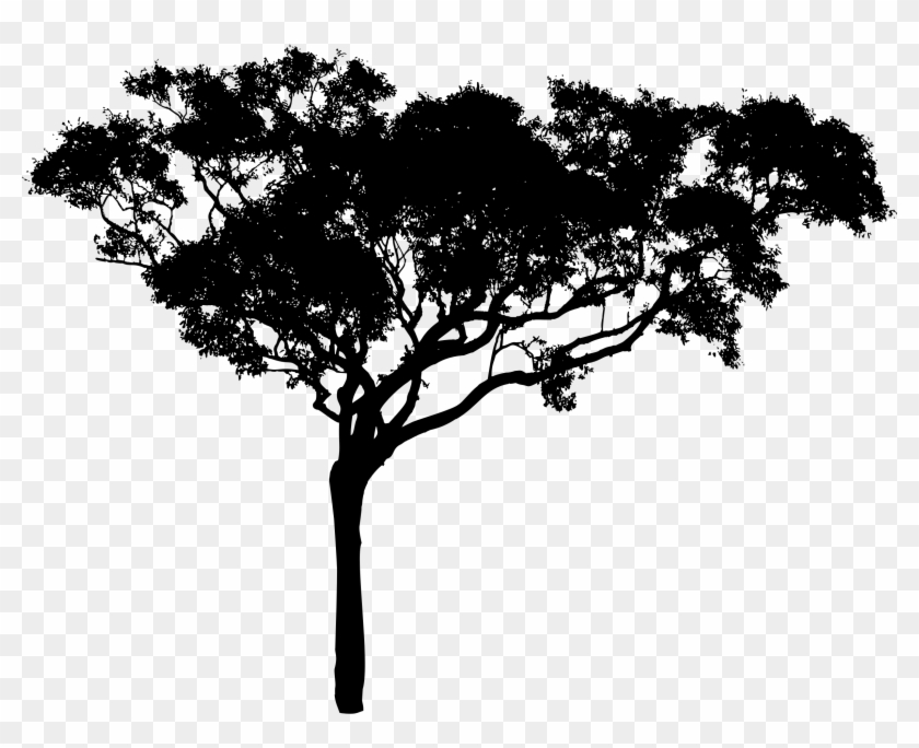 Tall Tree Silhouette Icons Png - Tall Tree Silhouette Icons Png - Free ...