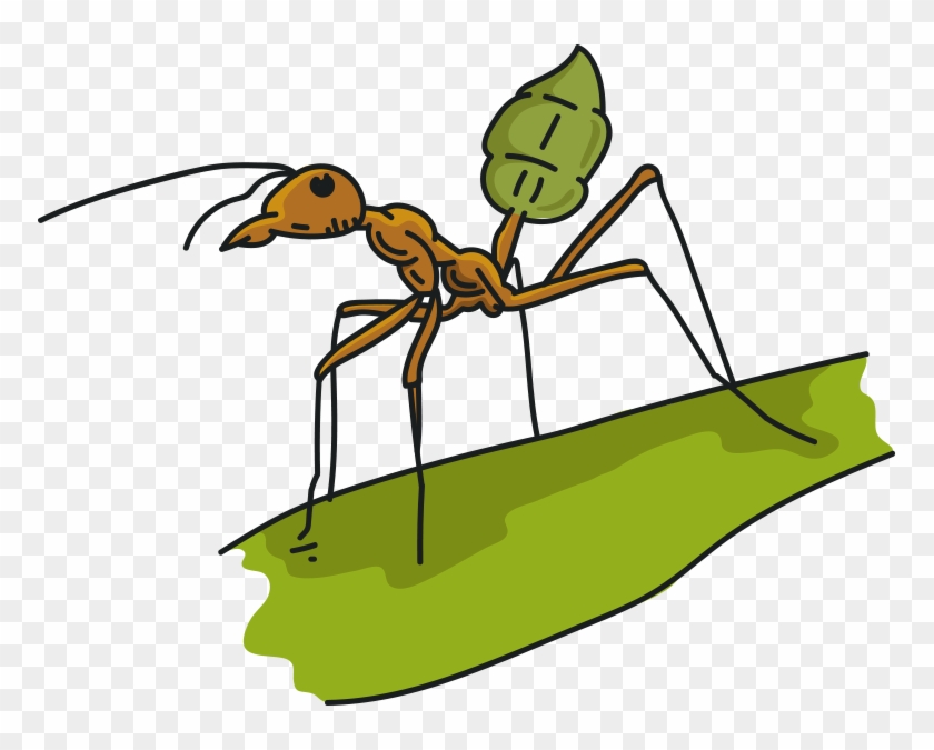 Green Ant Tea - Green Ant Tea - Free Transparent PNG Clipart Images ...