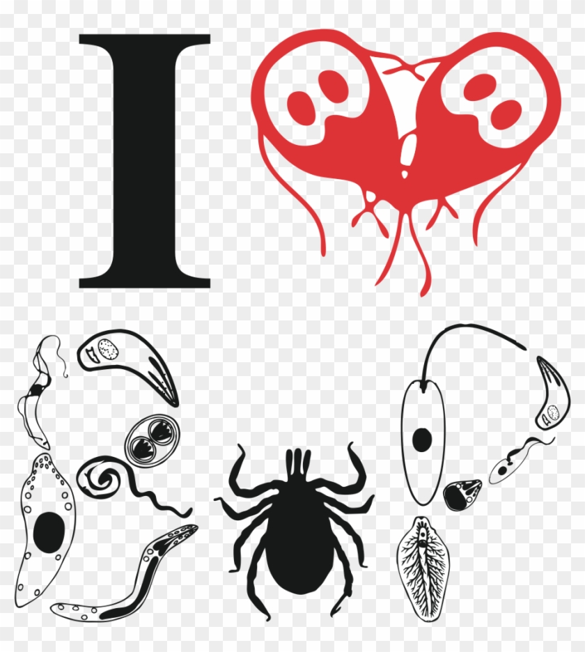 Biologyofparasitism - Biologyofparasitism - Free Transparent PNG ...