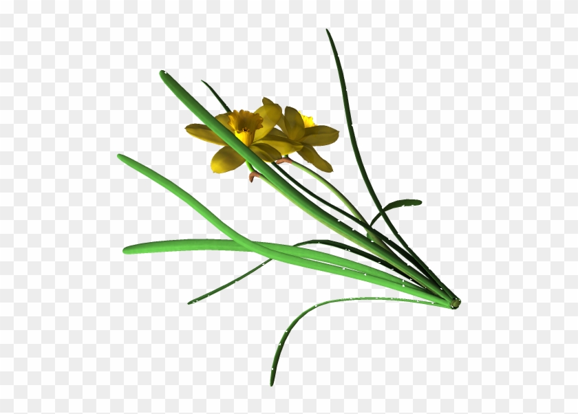 Daff - Buttercup - Free Transparent PNG Clipart Images Download