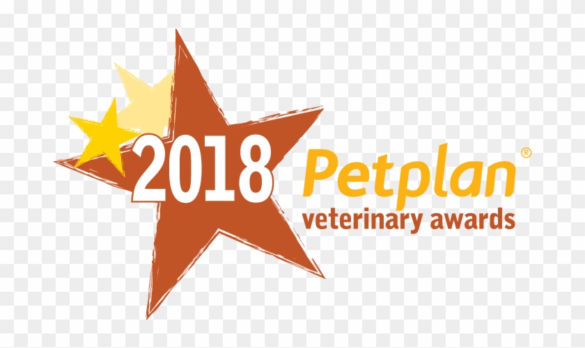 Terms And Conditions - Petplan - Free Transparent PNG Clipart Images ...