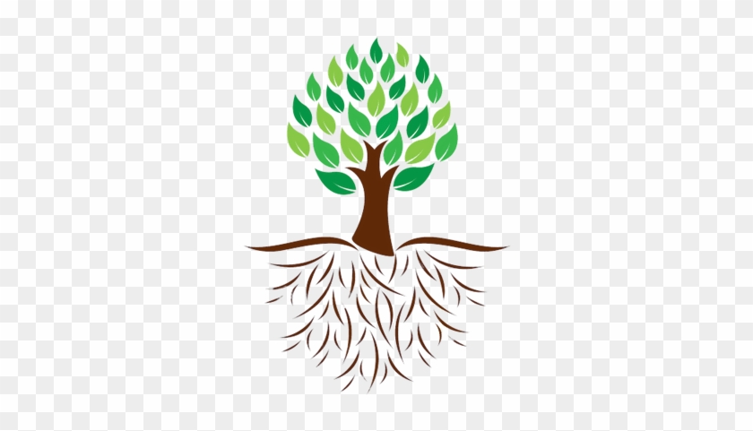 Transparent Tree With Roots Png - Full Size PNG Clipart Images Download