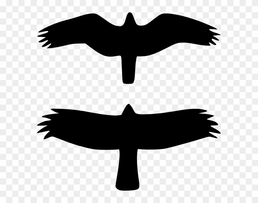 Bird Top View Png - Full Size PNG Clipart Images Download